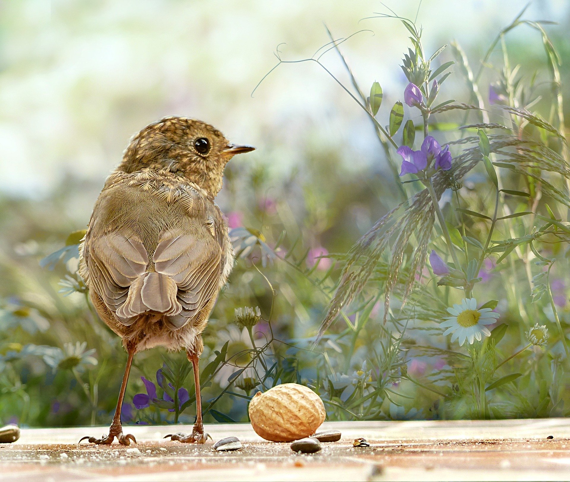 Five Links 4/10/2020 Traci Kenworth – Traci Ashbe Dark Fantasy Author